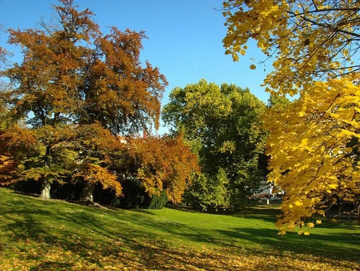 11 nejkrásnějších zahrad Prahy a GIYOU GARDEN